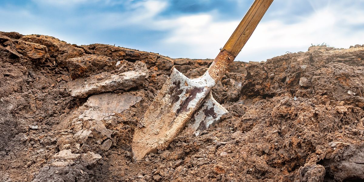I Saw My Neighbor Faint While Digging in Her Yard — I Gasped as I ...